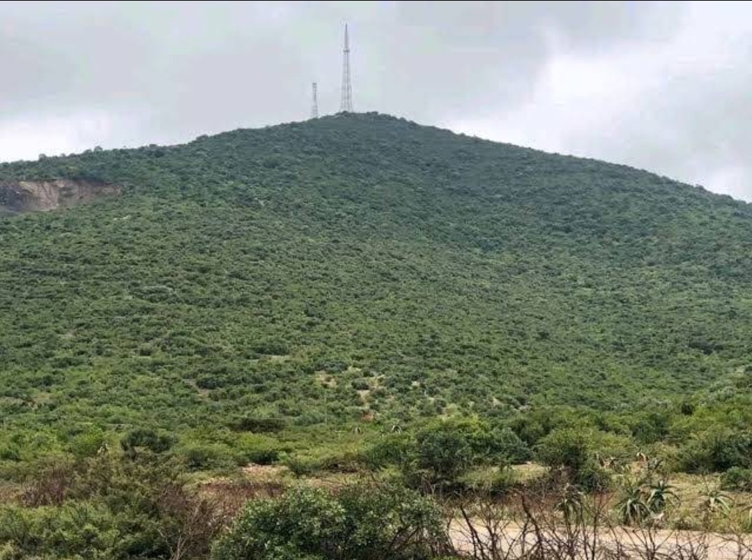 Jigjiga.net | Somali Culture, History & Business in the Somali Region